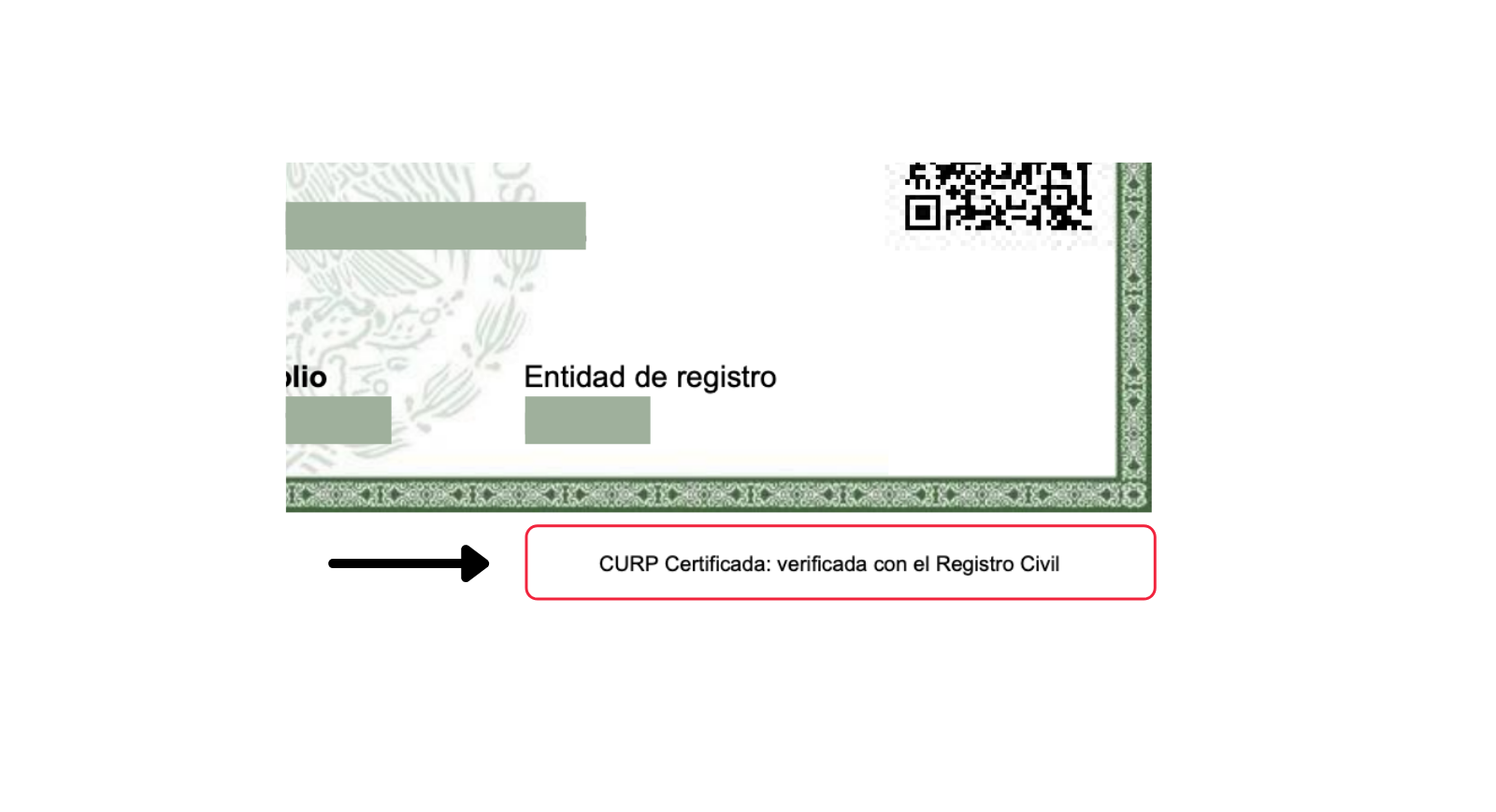 CURP Certificada: ¿Cómo Conseguirla Y Cuáles Son Sus Beneficios ...